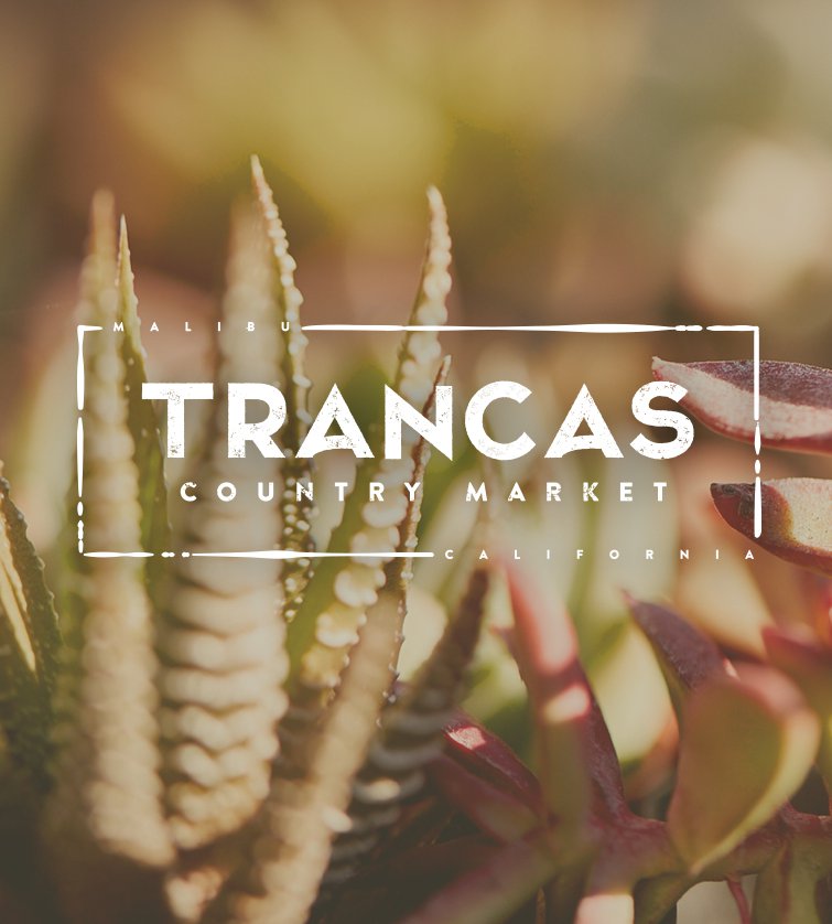 Corporate Branding, Graphic Design, Website & Logo Development